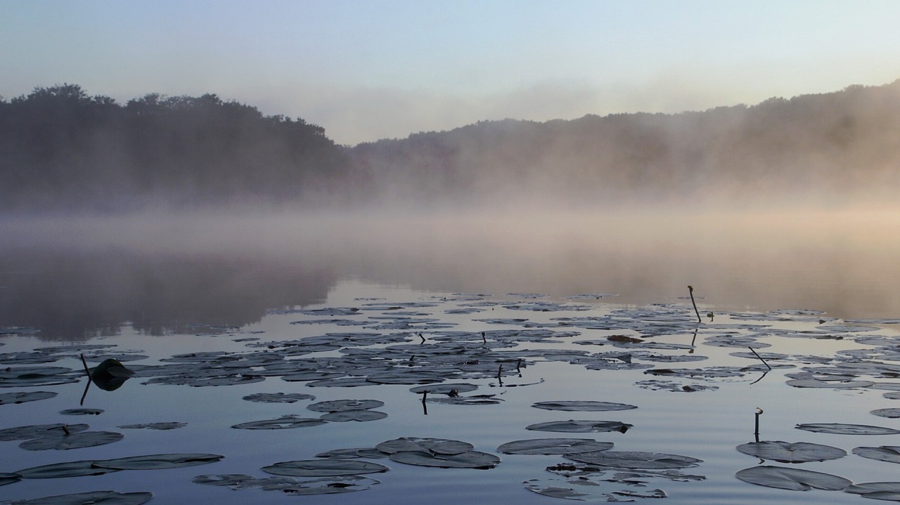 Nature 365 - Early morning - 2026-06-03