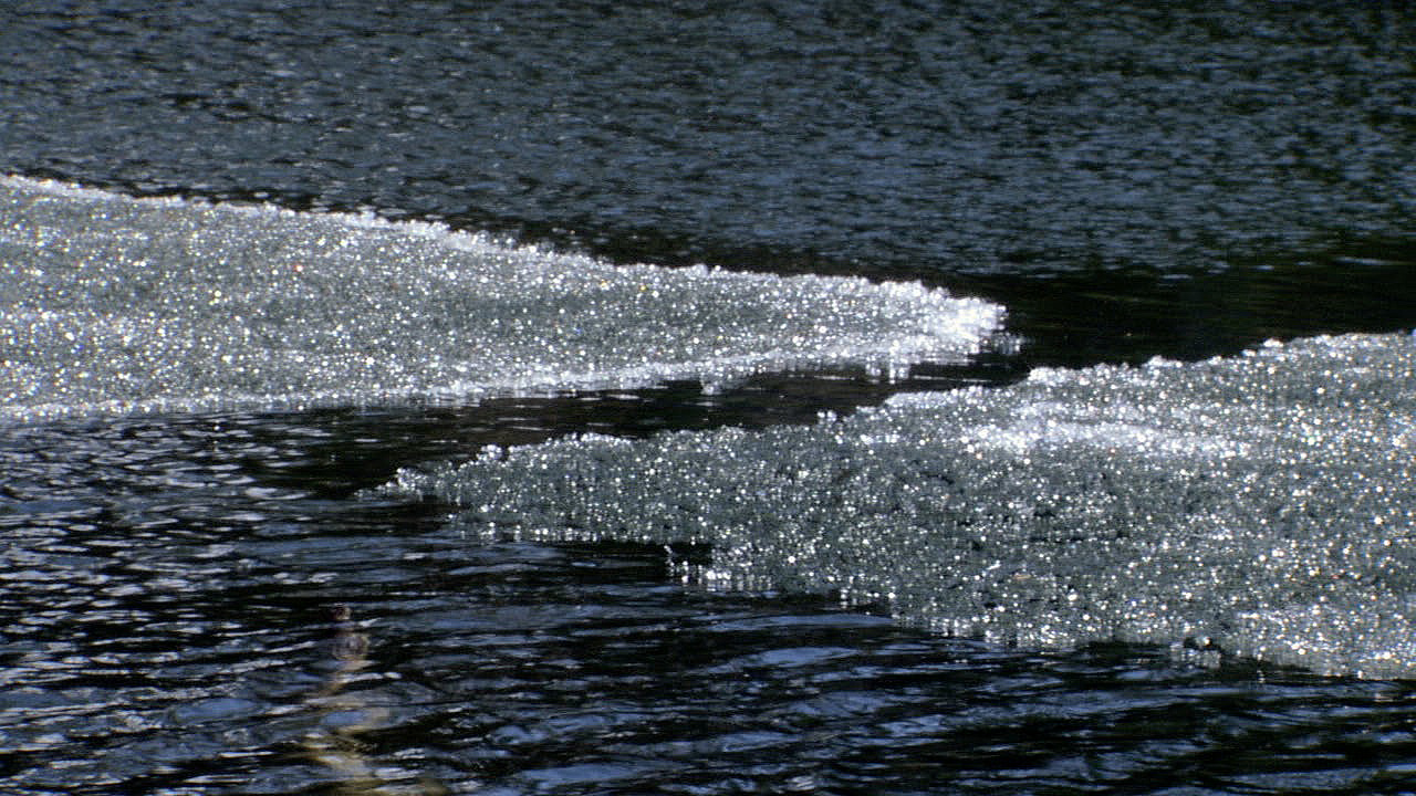 Nature 365 - Ice break up - 2020-04-26