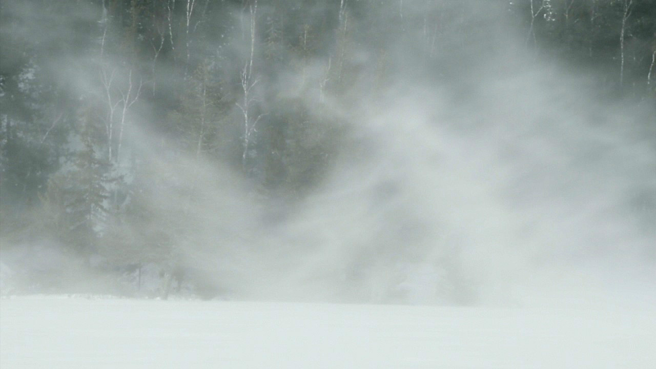 Nature 365 - First blizzard - 2020-12-30