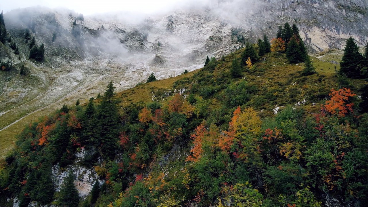 Nature 365 - Transition - 2023-10-30